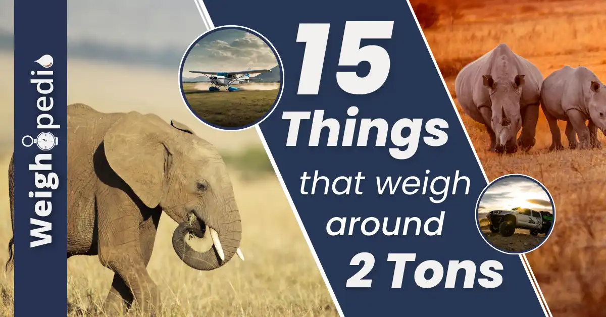 What Weighs 2 Tons? 15 Common Things that Weigh 2 Tons